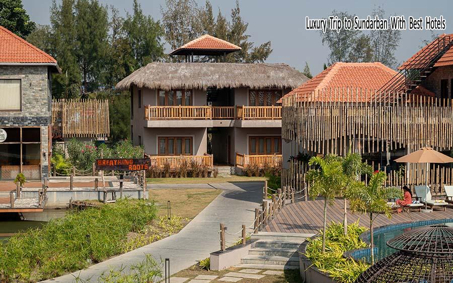 How to plan a luxury trip to Sundarbans and how much does it cost ...